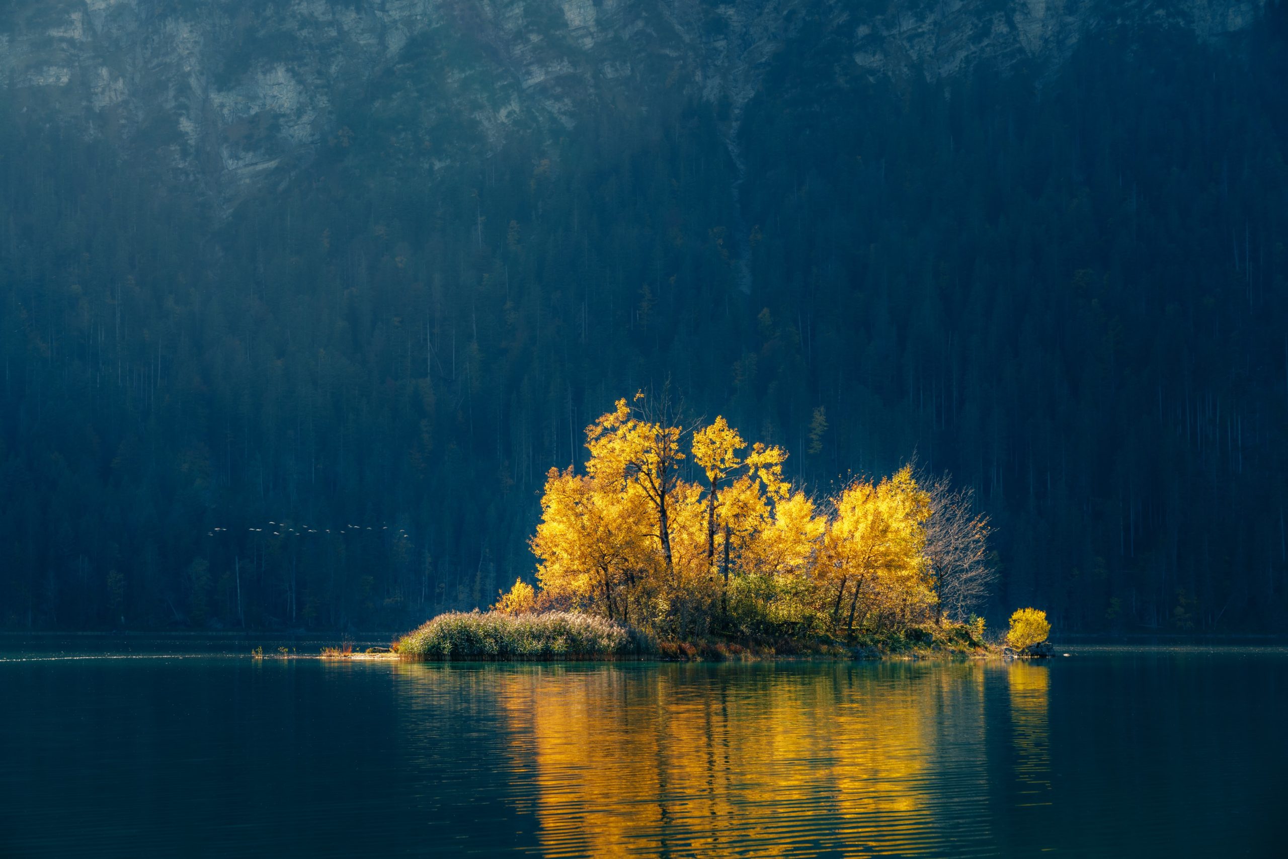 The Threat to our Environment - We CAN do something about Climate Change